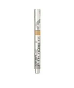 CHANTECAILLE Le Camouflage Stylo Brown