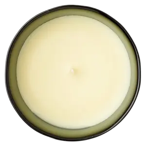 TRUDON Cyrnos Scented Candle, 270g - Green