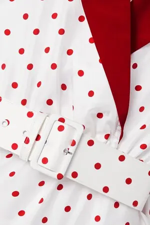 polka dot silk wrap dress product info and reviews The Polka Dot Ruffle Wrap Dress - Red Women's Casual Wrap Dress, Stylish- Red - Dresses