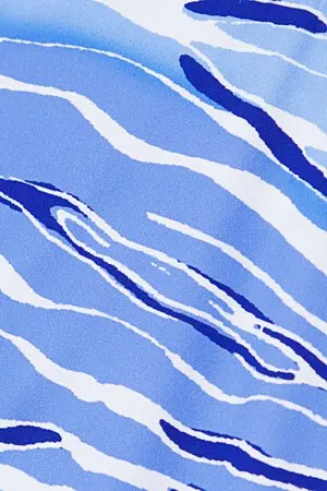 Fisch Net Sustain Flamands Printed Bikini Briefs - Blue