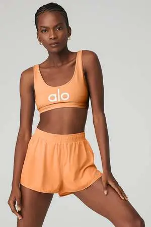 Alo Yoga Ambient Logo Bra