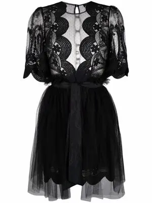 Elisabetta Franchi Lace-panelled Tulle Mini Dress