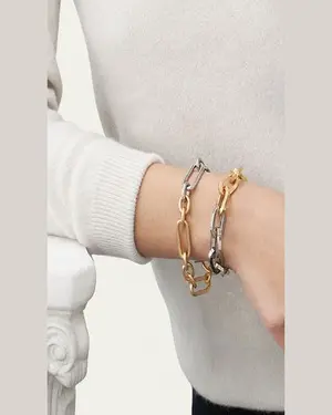 BEN-AMUN Two-tone Link Bracelet