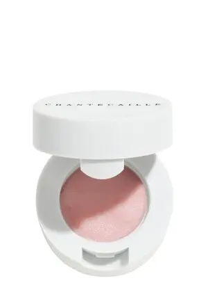 CHANTECAILLE Lip Potion – Female – Lip Care - N/a