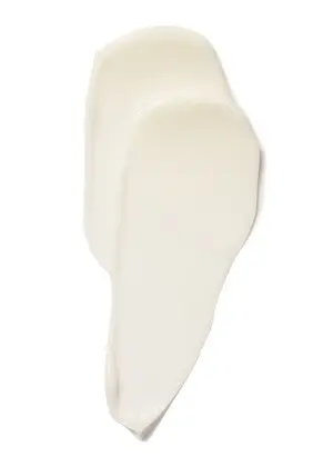 NOBLE PANACEA The Absolute Active Replenishing Moisturizer - Na