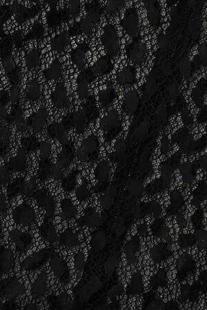 black givenchy lace and velvet mini dress Antonella Velvet Lace Mini Dress - Black