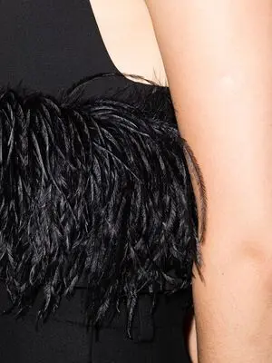 16Arlington Poppy Feather-embellished Top - Black