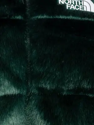 Supreme X The North Face Faux-fur Jacket Fw 20