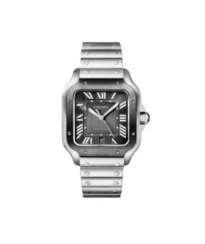 CARTIER Santos De Watch - Silver