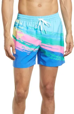 CHUBBIES 5.5-inch Swim Trunks The Day Rockets