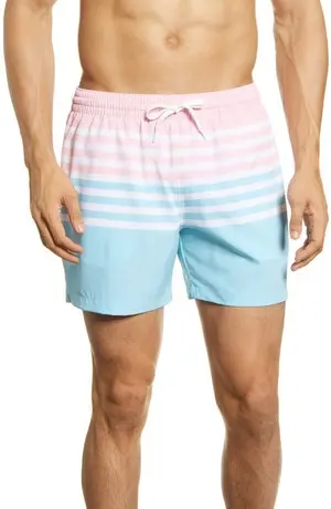 CHUBBIES 5.5-inch Swim Trunks The On The Horizons