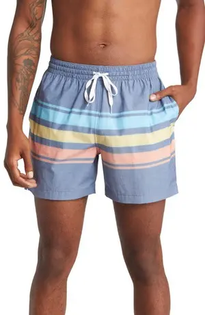 CHUBBIES 5.5-inch Swim Trunks The Retro Sets