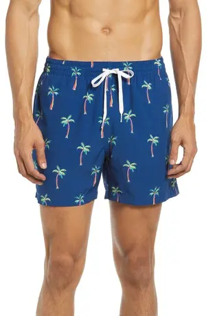 CHUBBIES 5.5-inch Swim Trunks The Tree Myself And I