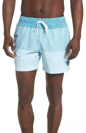 CHUBBIES 5.5-inch Swim Trunks The Whale Sharks
