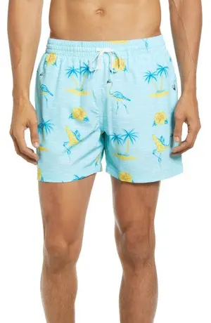 CHUBBIES 5.5-inch Swim Trunks Turquoise/ Aqua