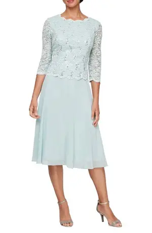 Alex Evenings Lace Cocktail Dresses