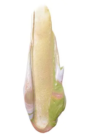 STILA One Step Correct Skin Tone Correcting Brightening Serum - Kitten