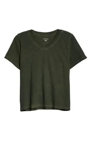 Eileen Fisher Organic Cotton V-neck T-shirt