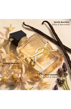 Saint Laurent Libre Eau De Parfum Spray Fragrance - Regular