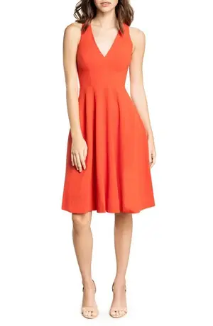 Dress The Population Catalina Fit & Flare Cocktail Dress - Poppy