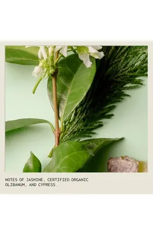 Aveda Sap Moss™ Weightless Hydrating Shampoo - No Color