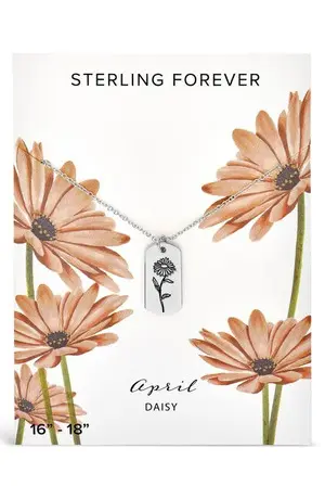 Sterling Forever Birth Flower Pendant Necklace - Silver/april