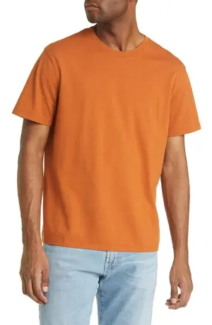 Ag Bryce Crewneck T-shirt Valley Bedrock