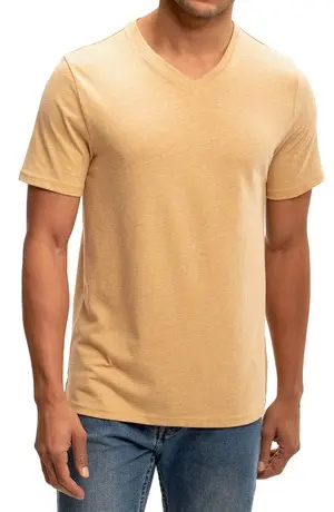 THREADS 4 THOUGHT Slim Fit V-neck T-shirt Amberwood