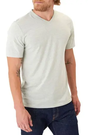 THREADS 4 THOUGHT Slim Fit V-neck T-shirt - Bonsai