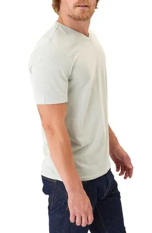 THREADS 4 THOUGHT Slim Fit V-neck T-shirt - Bonsai