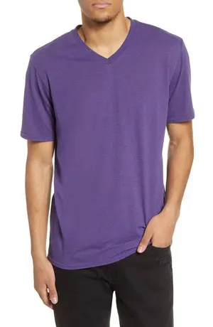 THREADS 4 THOUGHT Slim Fit V-neck T-shirt Multi Purple