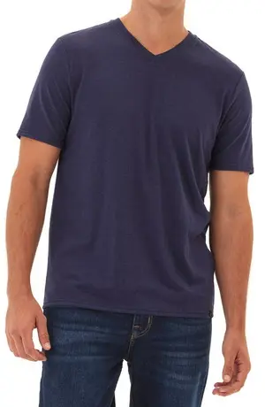THREADS 4 THOUGHT Slim Fit V-neck T-shirt Stargazer