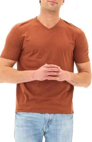 THREADS 4 THOUGHT Slim Fit V-neck T-shirt Taro