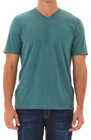THREADS 4 THOUGHT Slim Fit V-neck T-shirt Watercress