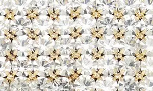 Ettika 2-pack Crystal Hair Comb