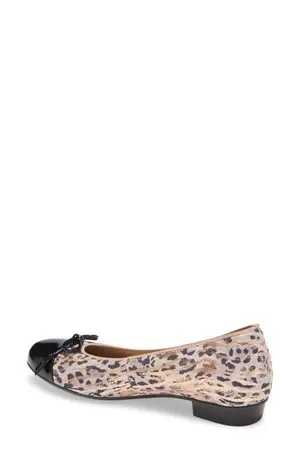 ARA Belinda Ballerina Flat - Black/leopard Print Leather