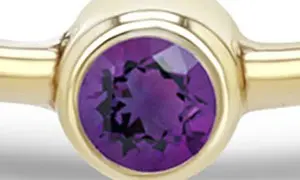 Zoe Chicco 14k Gold Bezel Birthstone Stacking Ring - Yellow Gold/amethyst