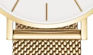 DANIEL WELLINGTON Petite Evergold Mesh Strap Watch - Gold/eggshell