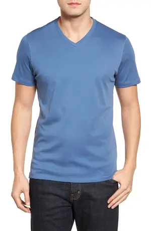 Robert Barakett Georgia Regular Fit V-neck T-shirt Belvedere Blue