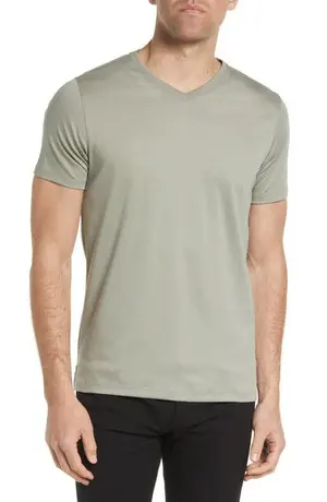 Robert Barakett Georgia Regular Fit V-neck T-shirt Dried Sage