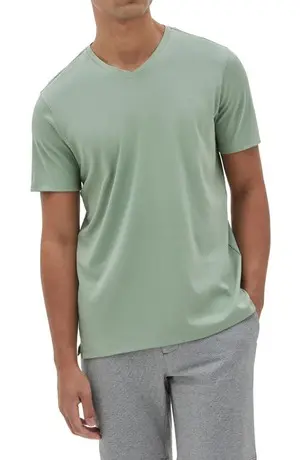 Robert Barakett Georgia Regular Fit V-neck T-shirt Green Bay Green