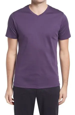 Robert Barakett Georgia Regular Fit V-neck T-shirt Imperial Purple
