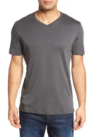 Robert Barakett Georgia Regular Fit V-neck T-shirt Iron