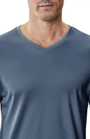 Robert Barakett Georgia Regular Fit V-neck T-shirt - Ocean Wave