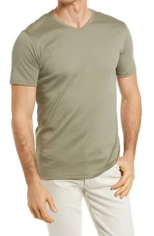 Robert Barakett Georgia Regular Fit V-neck T-shirt Pastel Olive