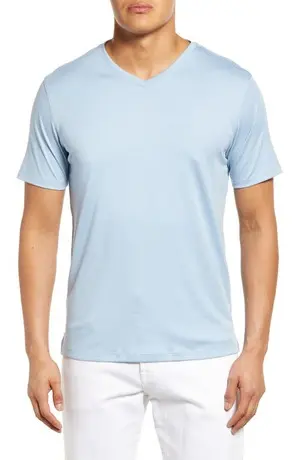 Robert Barakett Georgia Regular Fit V-neck T-shirt Soft Chambray