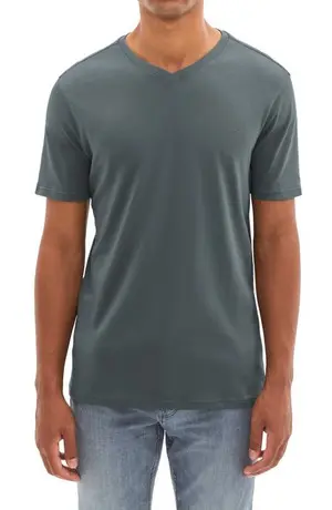 Robert Barakett Georgia Regular Fit V-neck T-shirt Tapestry