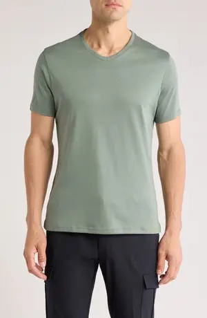 Robert Barakett Georgia Regular Fit V-neck T-shirt Thyme