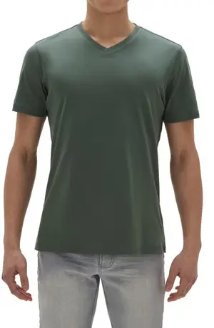 Robert Barakett Georgia Regular Fit V-neck T-shirt Willow