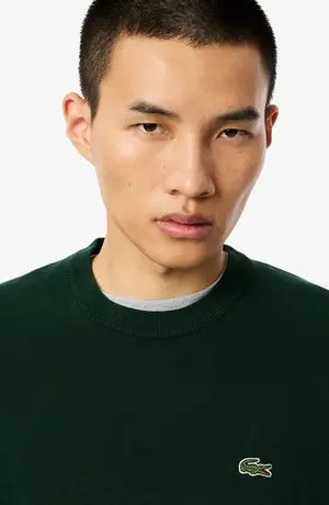 Lacoste Cotton Jersey Crewneck Sweater - Sinople